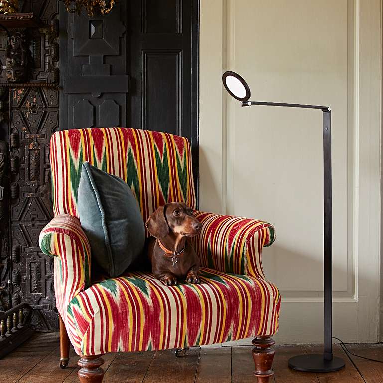 Stylish reading lights - a guide for bookworms and interior design lov