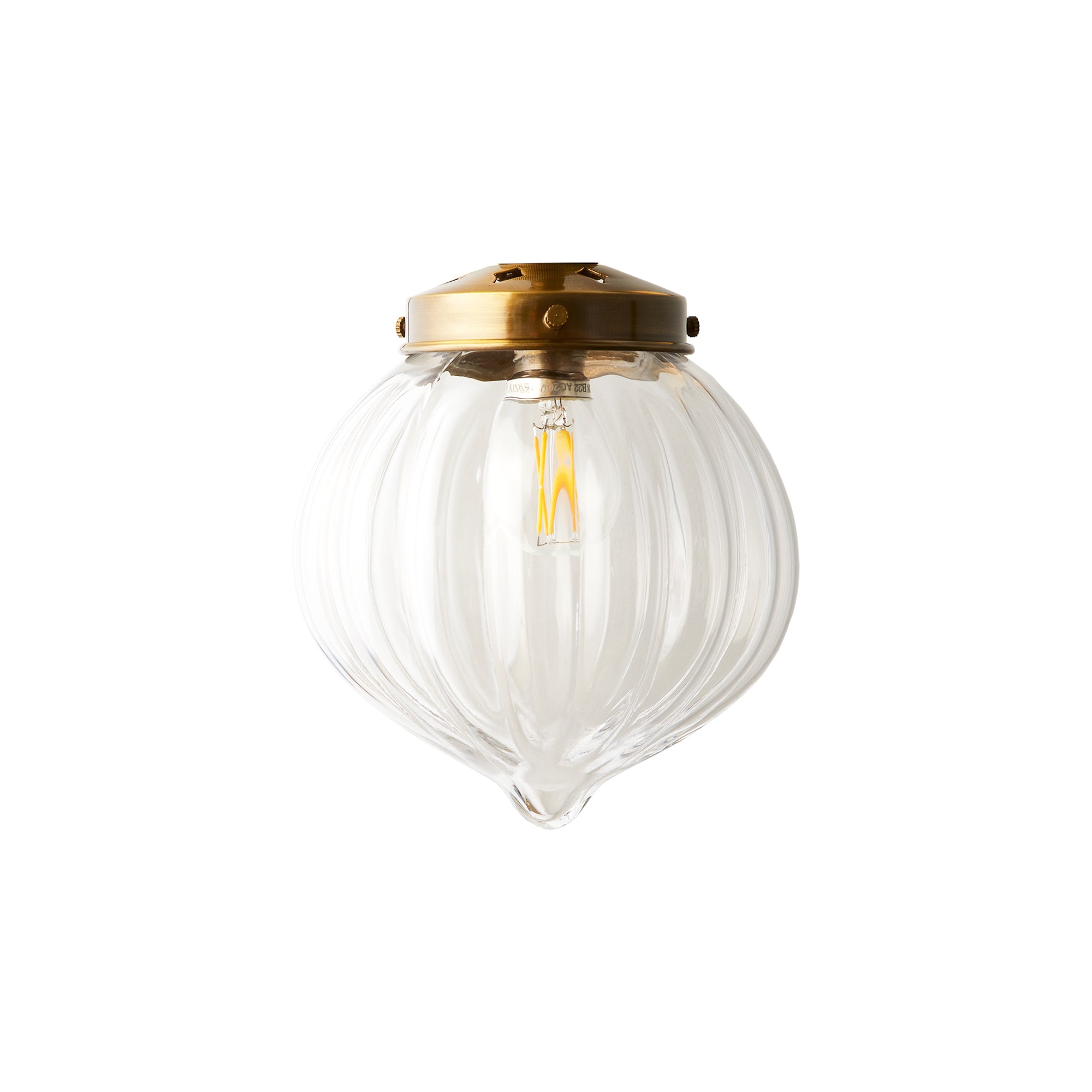Smaller Aquila Glass Teardrop Pendant Light