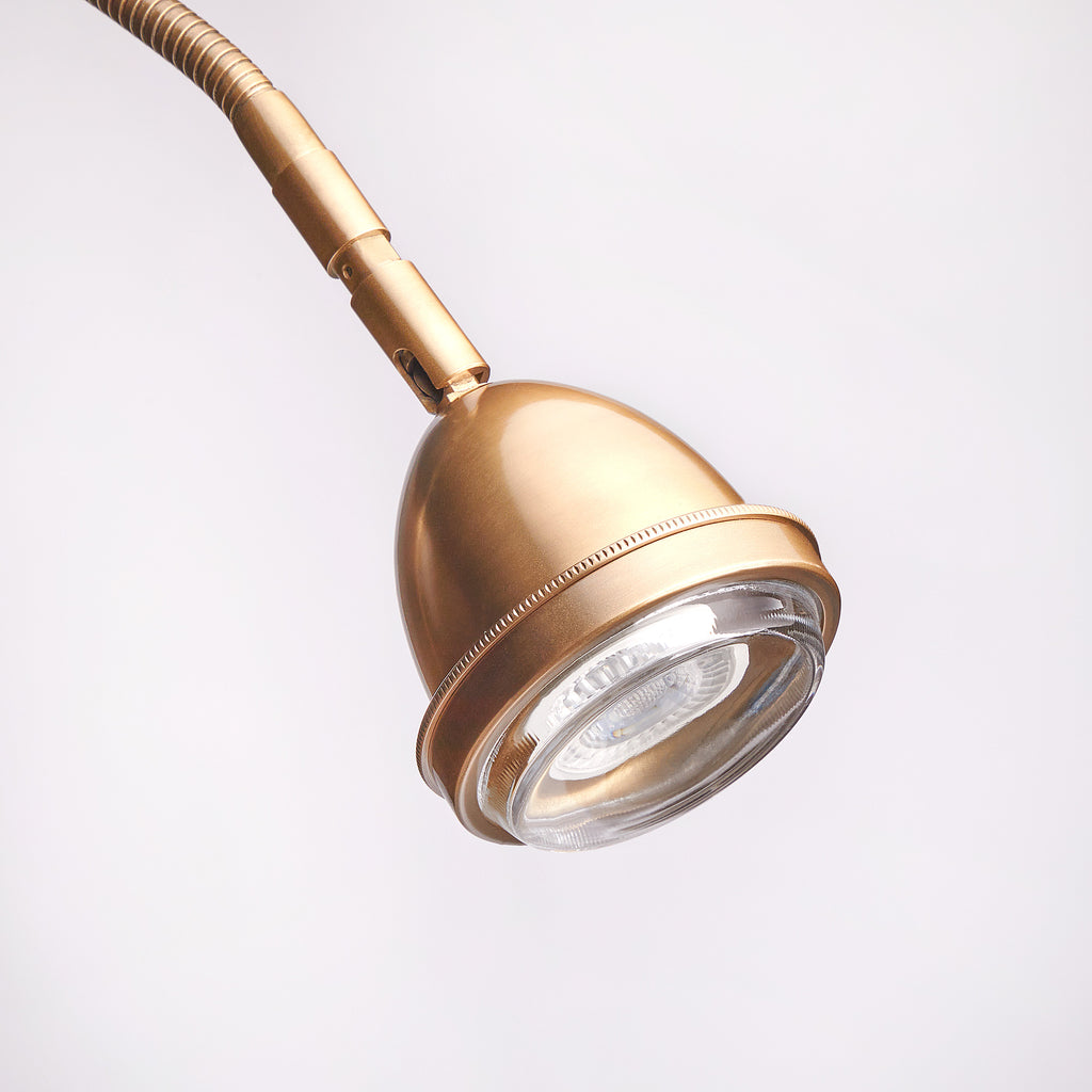 Beamish reading lamp in antiqued brass