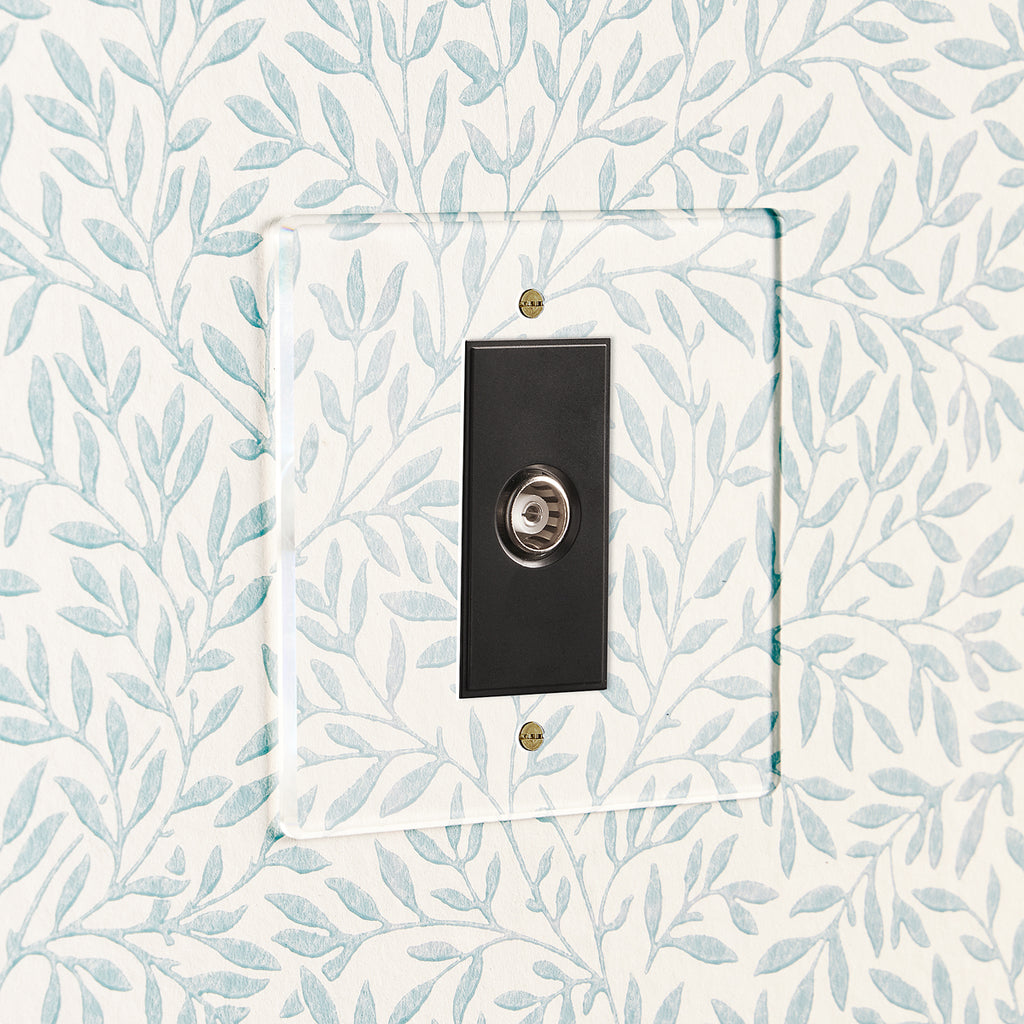 Lucian perspex coaxial single outlet socket with black inserts in clea