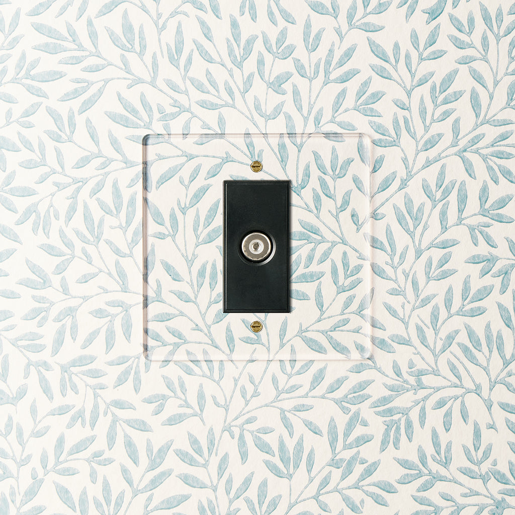 Lucian perspex coaxial single outlet socket with black inserts in clea