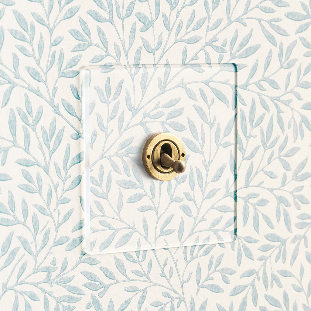 Lucian perspex one gang 2-way toggle switch in clear perspex and aged