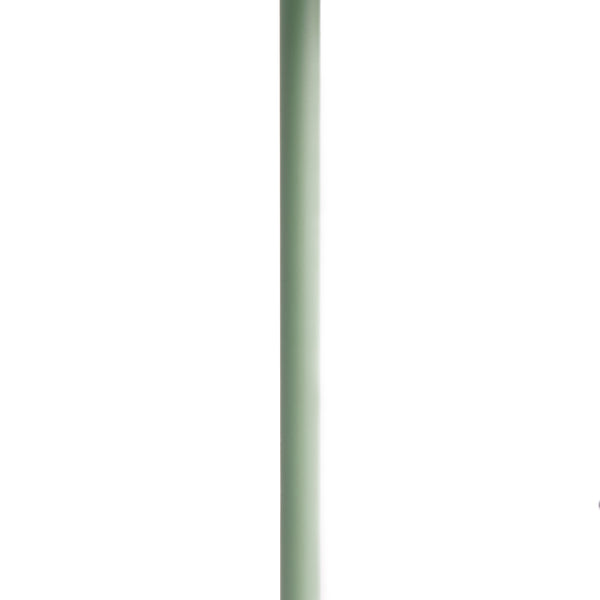 Wee Scoon rechargeable table lamp in watercress